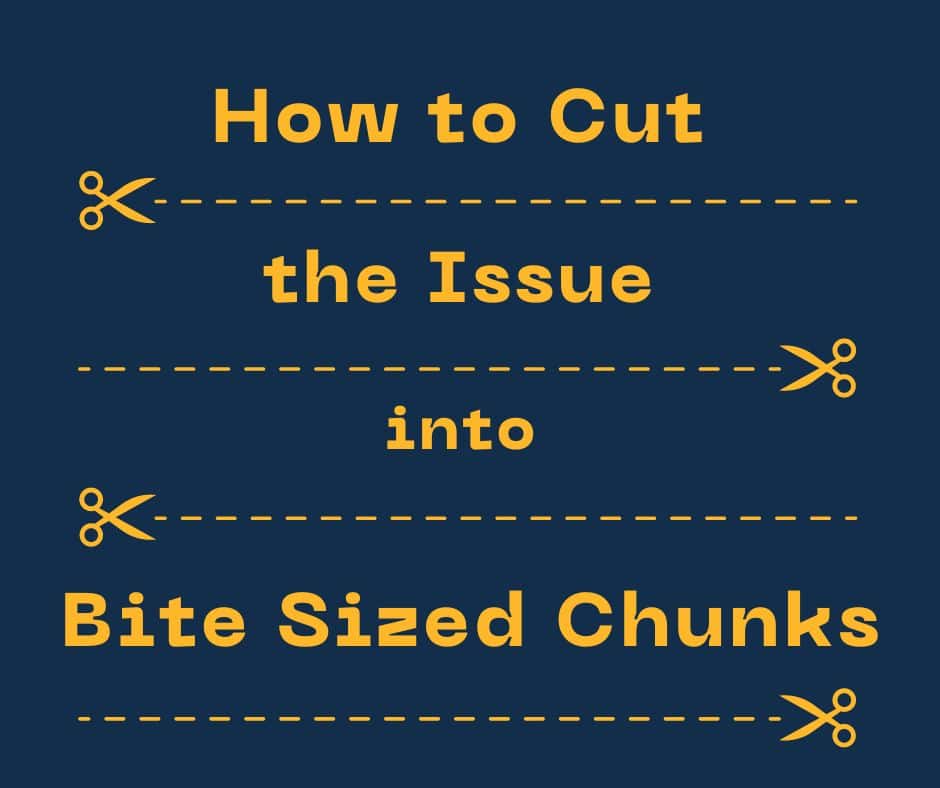 How to Cut the Issue into Bite Sized Chunks - The Commons